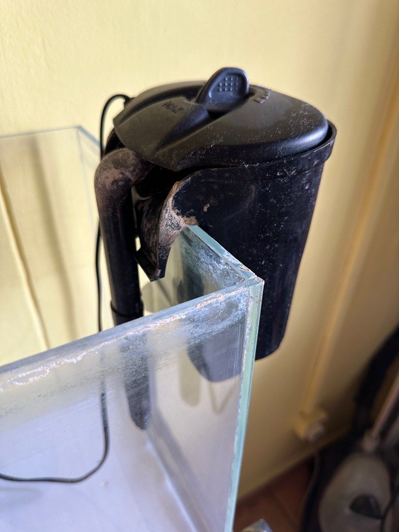 Crystal Tank (60cm) with rack and free 2 free items, Pet Supplies ...