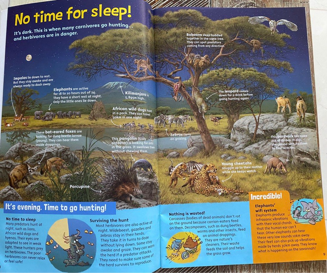 Discovery Box (magazine published in UK), Hobbies & Toys, Books ...