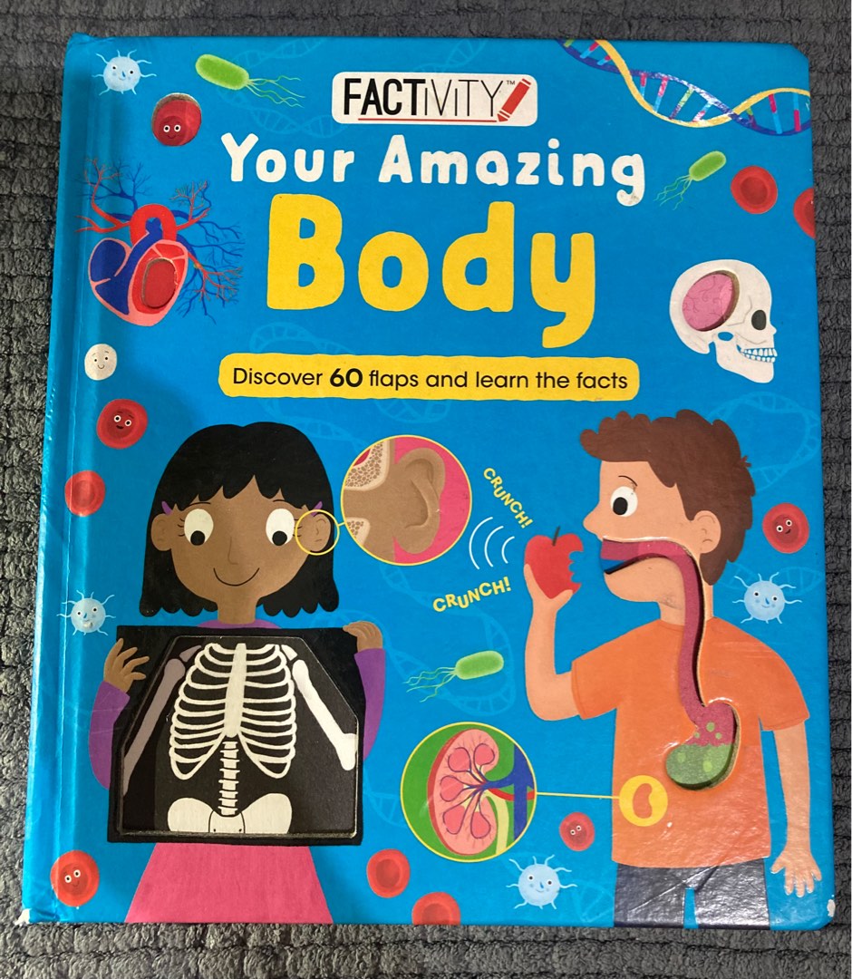Factivity Your Amazing Body: Discover 70 Flaps and 100+ Facts, Hobbies ...