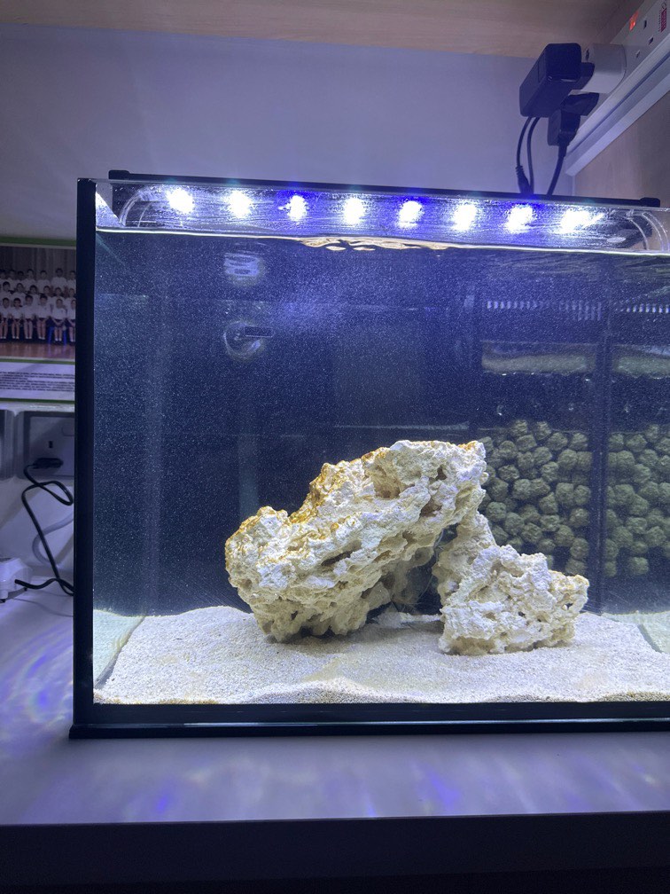 IOS fish tank from specialised aquatic solution, Pet Supplies, Homes ...