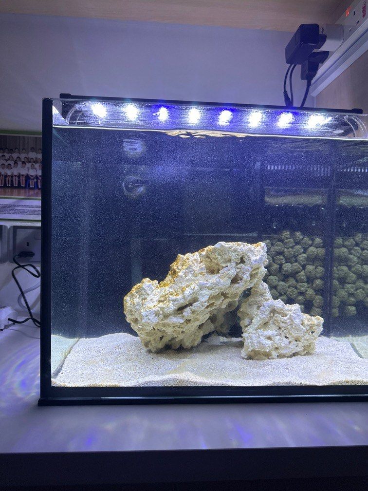 IOS fish tank from specialised aquatic solution, Pet Supplies, Homes ...