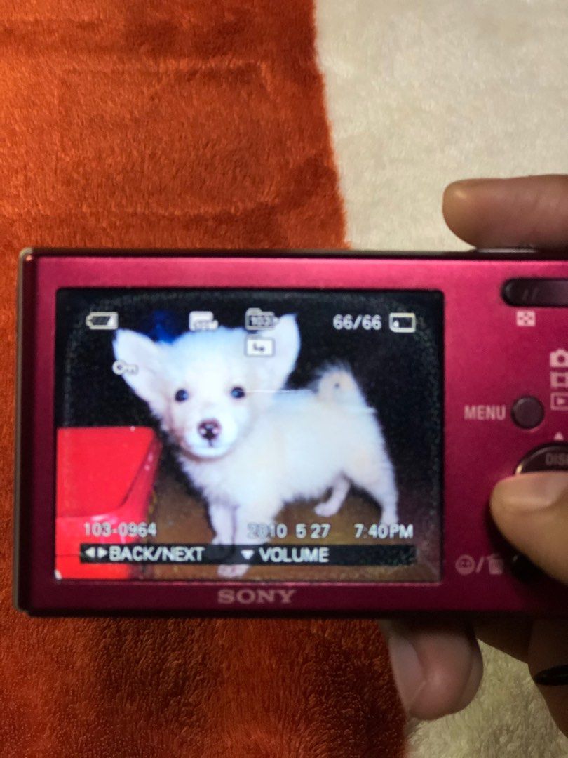 Sony cybershot dsc-w180, Photography, Cameras on Carousell