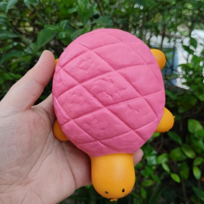 Turtle Melon Pan Squishy, Hobbies & Toys, Toys & Games on Carousell