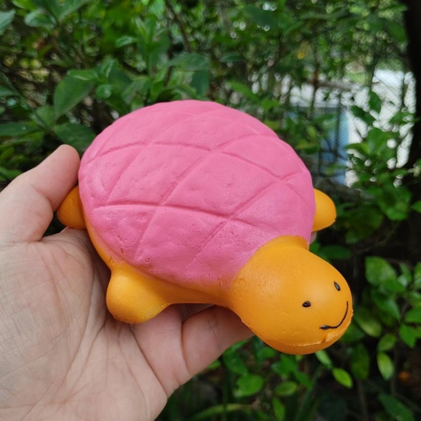 Turtle Melon Pan Squishy, Hobbies & Toys, Toys & Games on Carousell