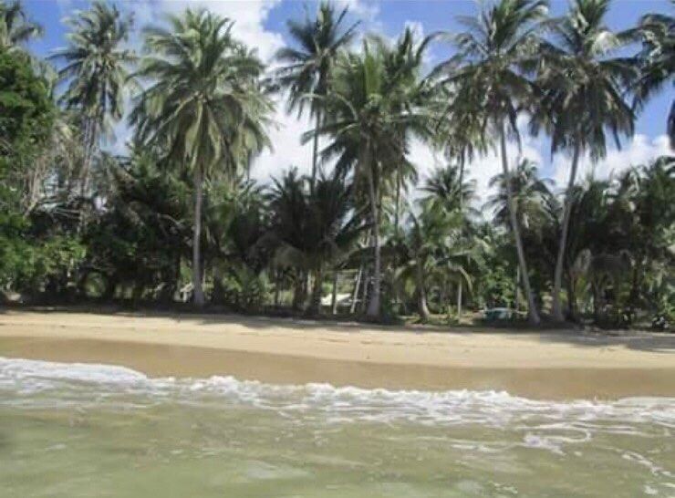 20,178 sqm beach front propert at Simpokan Puerto Princesa property in ...