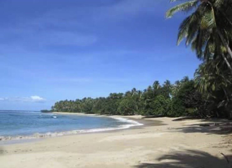 20,178 sqm beach front property at Simpokan Puerto Princesa property in ...
