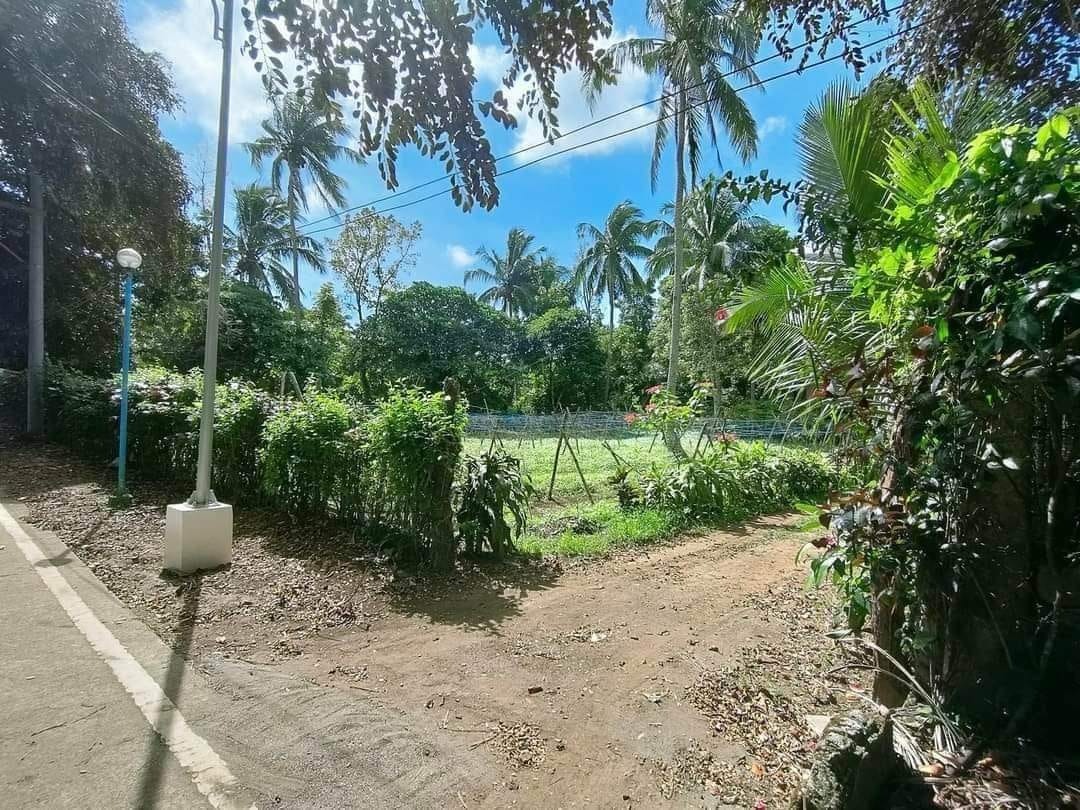 Alfonso Cavite lot for sale, along Provincial road 4,120sqm. P10,000/sqm with Title, Property ...