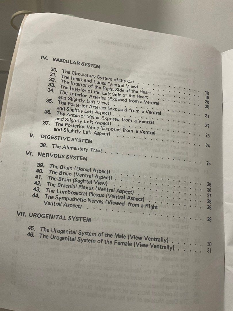 Atlas of Cat Anatomy (Manuel C. Sy), Hobbies & Toys, Books & Magazines ...