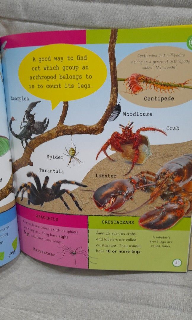 DK My encyclopedia of Very Important Animals, Hobbies & Toys, Books ...
