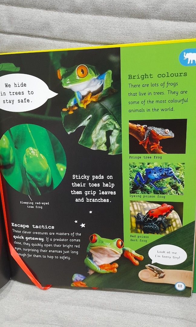 DK My encyclopedia of Very Important Animals, Hobbies & Toys, Books ...