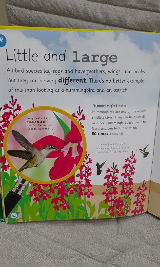 DK My encyclopedia of Very Important Animals, Hobbies & Toys, Books ...