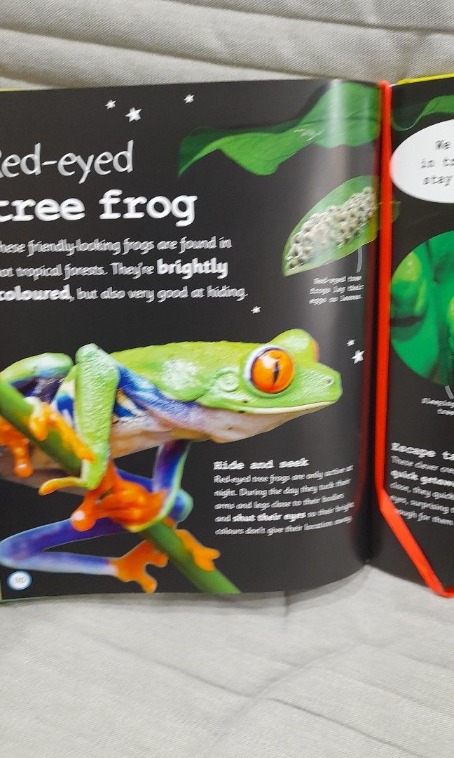 DK My encyclopedia of Very Important Animals, Hobbies & Toys, Books ...