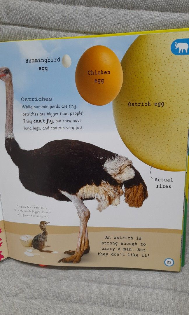 DK My encyclopedia of Very Important Animals, Hobbies & Toys, Books ...