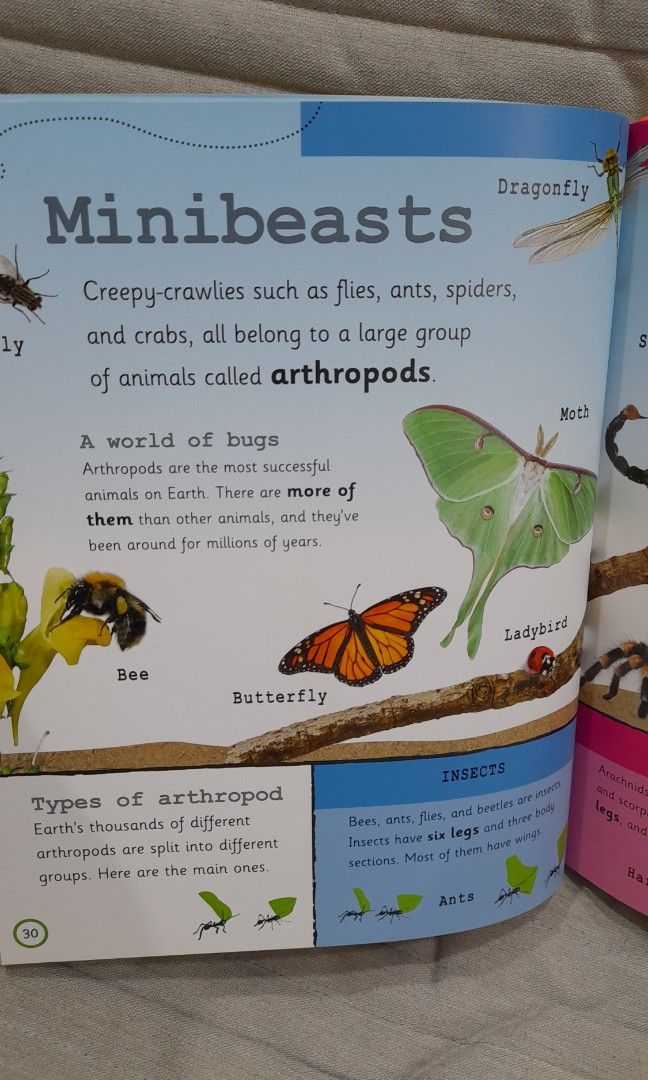 DK My encyclopedia of Very Important Animals, Hobbies & Toys, Books ...