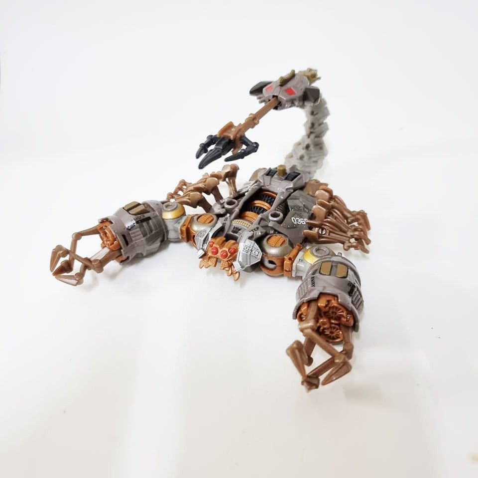 Hasbro Transformers Scorponok, Hobbies & Toys, Toys & Games on Carousell
