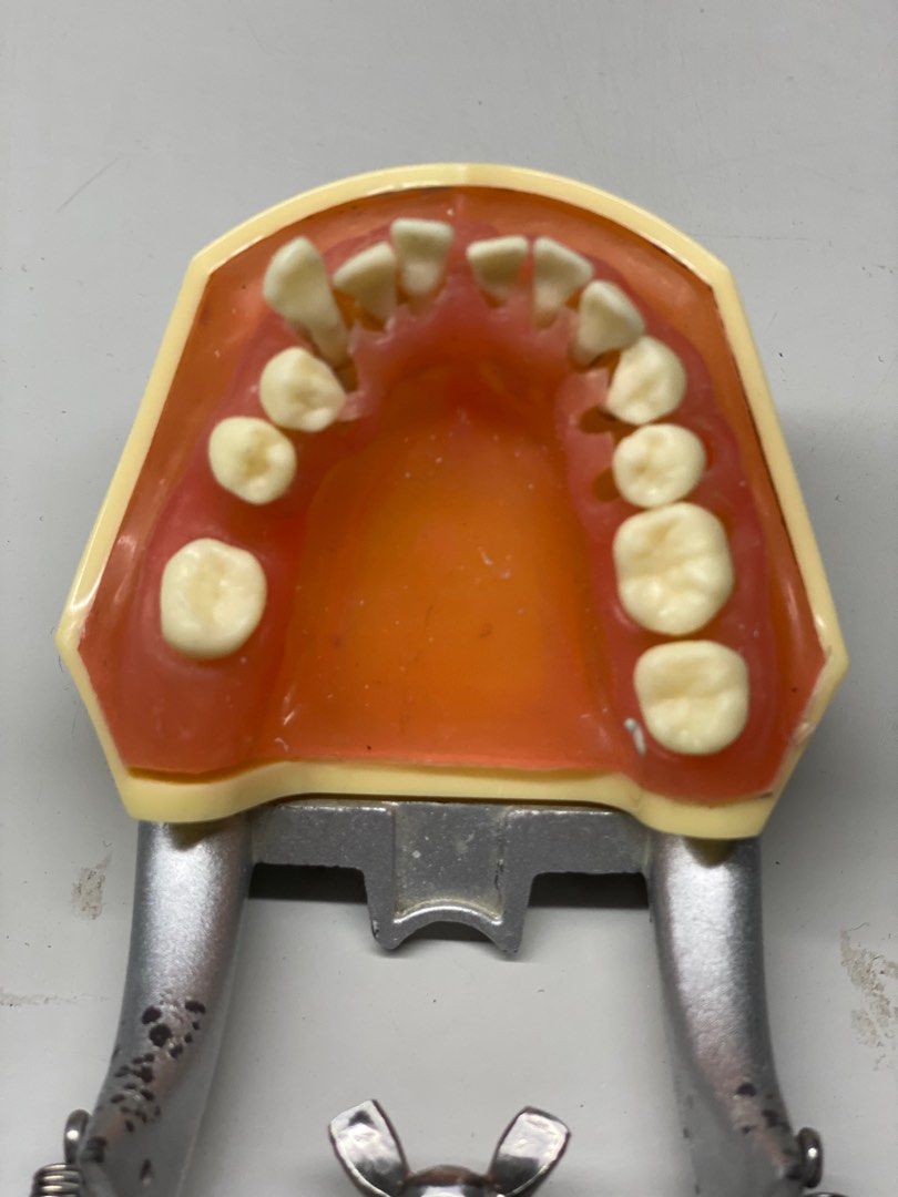 Perio Typo Model on Carousell