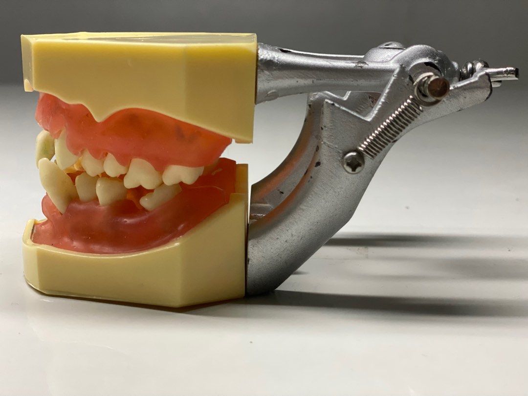 Perio Typo Model, Hobbies & Toys, Stationary & Craft, Stationery ...