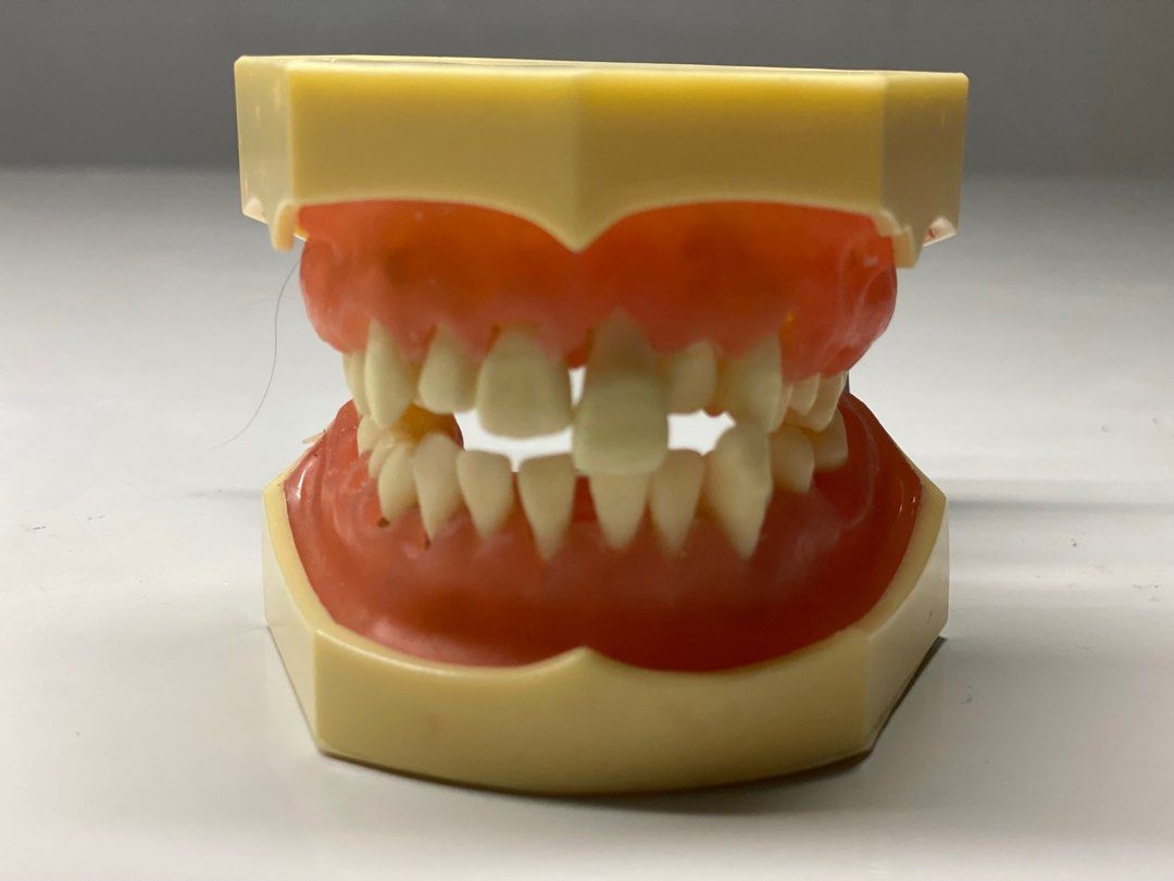 Perio Typo Model, Hobbies & Toys, Stationary & Craft, Stationery ...