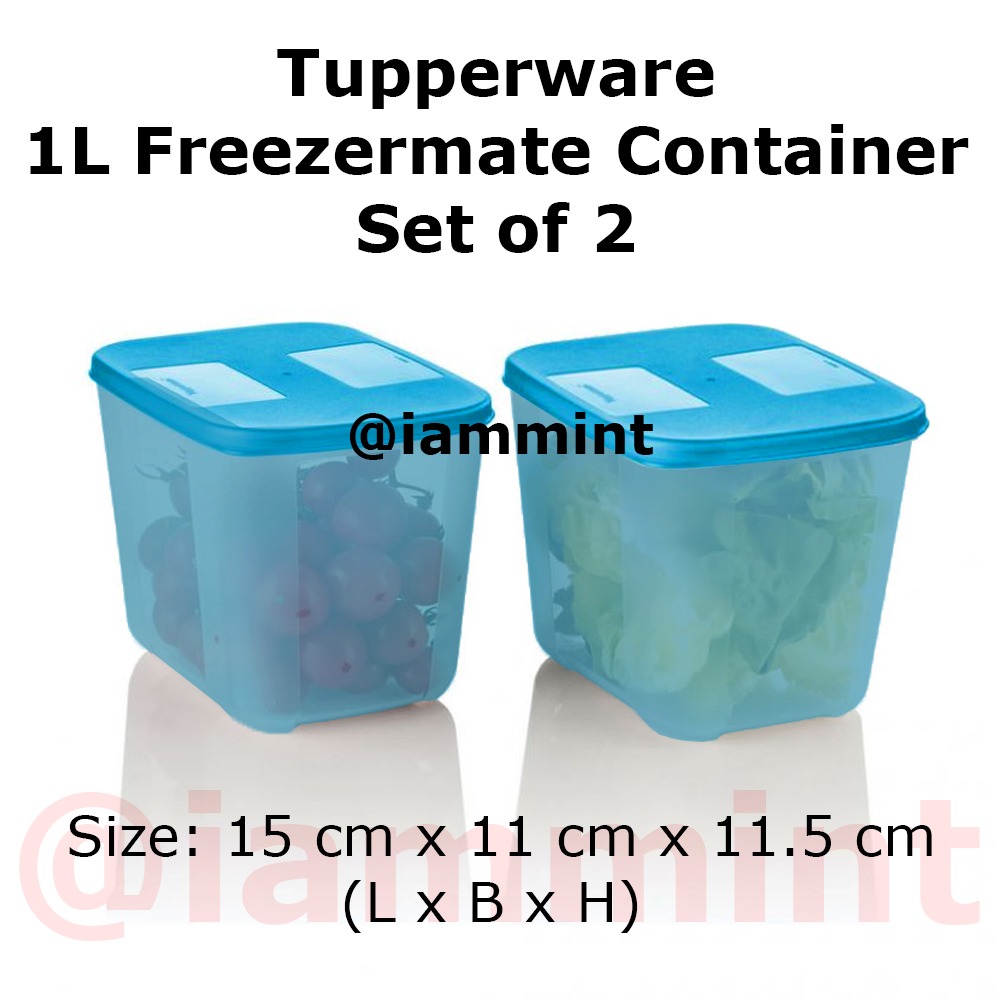 Tupperware 1L Freezermate Buddy Rectangle Containers Set of 2 ...