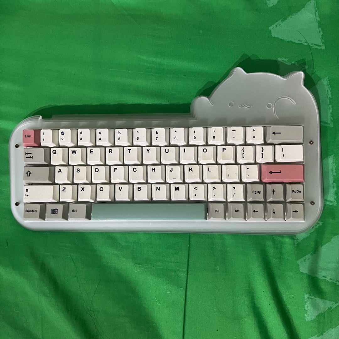 WTS BONGO CAT 60% KEYBOARD, Computers & Tech, Parts & Accessories ...