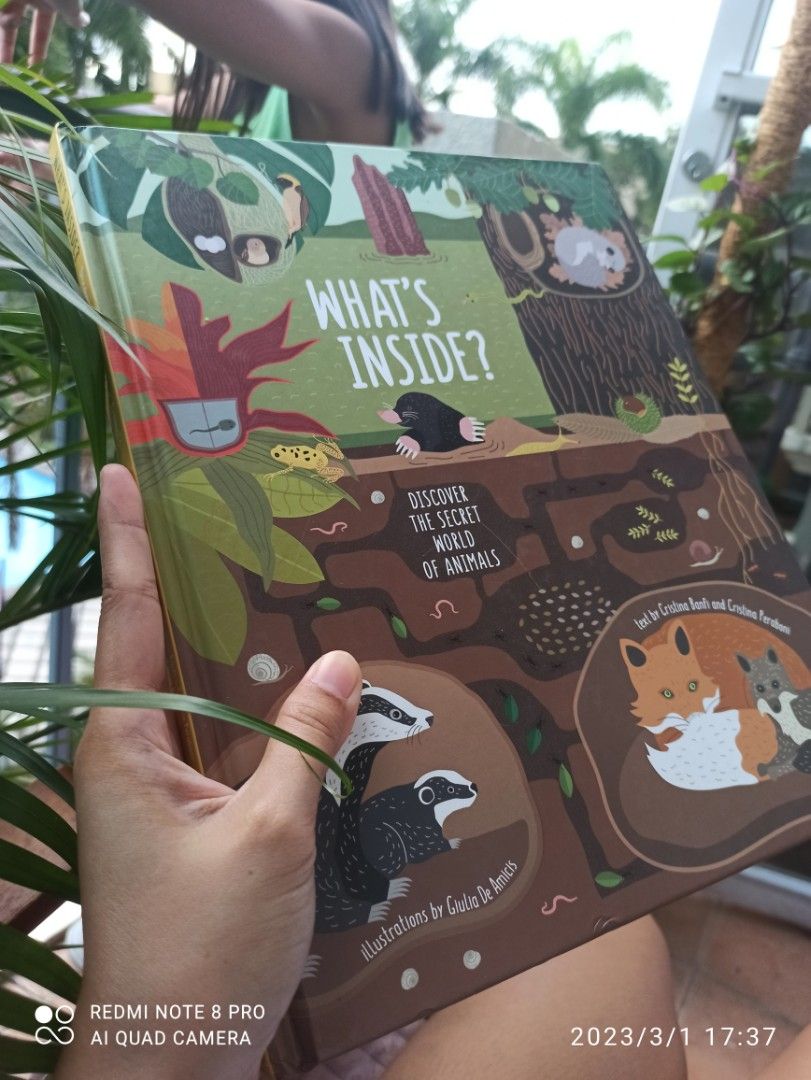 White Star Kids What's Inside Book on Carousell