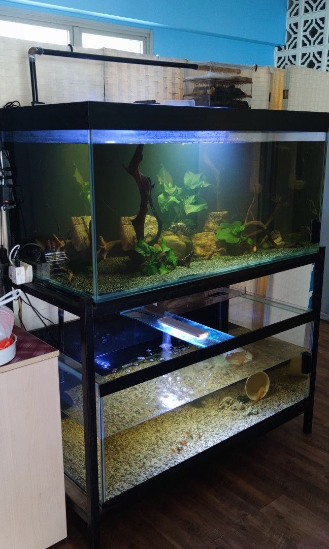 4ft Fish Tank Set, Pet Supplies, Homes & Other Pet Accessories on Carousell