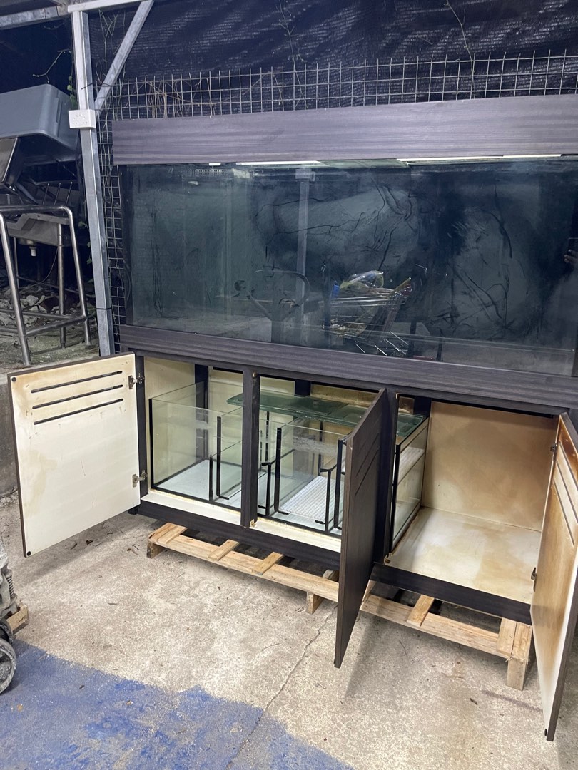 6ft by 2ft by 2.5ft fish tank with cabinet and sump, Pet Supplies ...
