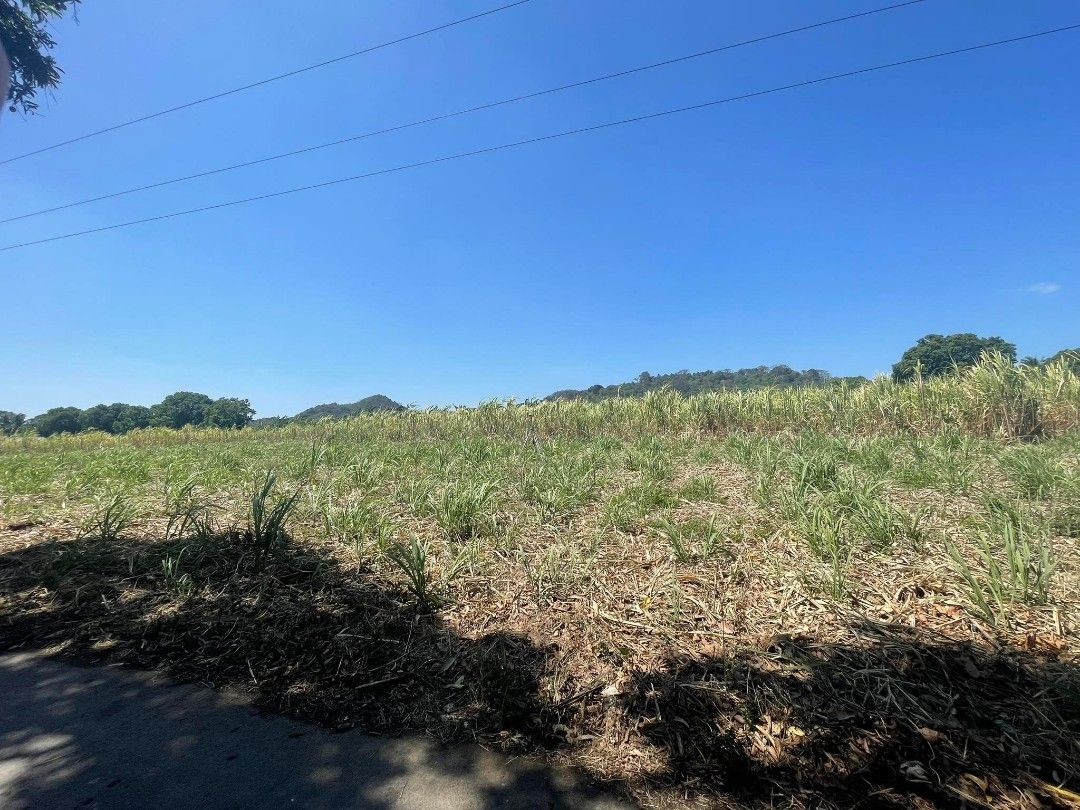 affordable farmlot in balayan batangas, Property, For Sale, Lot on ...