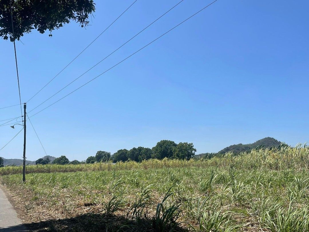 affordable farmlot in balayan batangas, Property, For Sale, Lot on ...