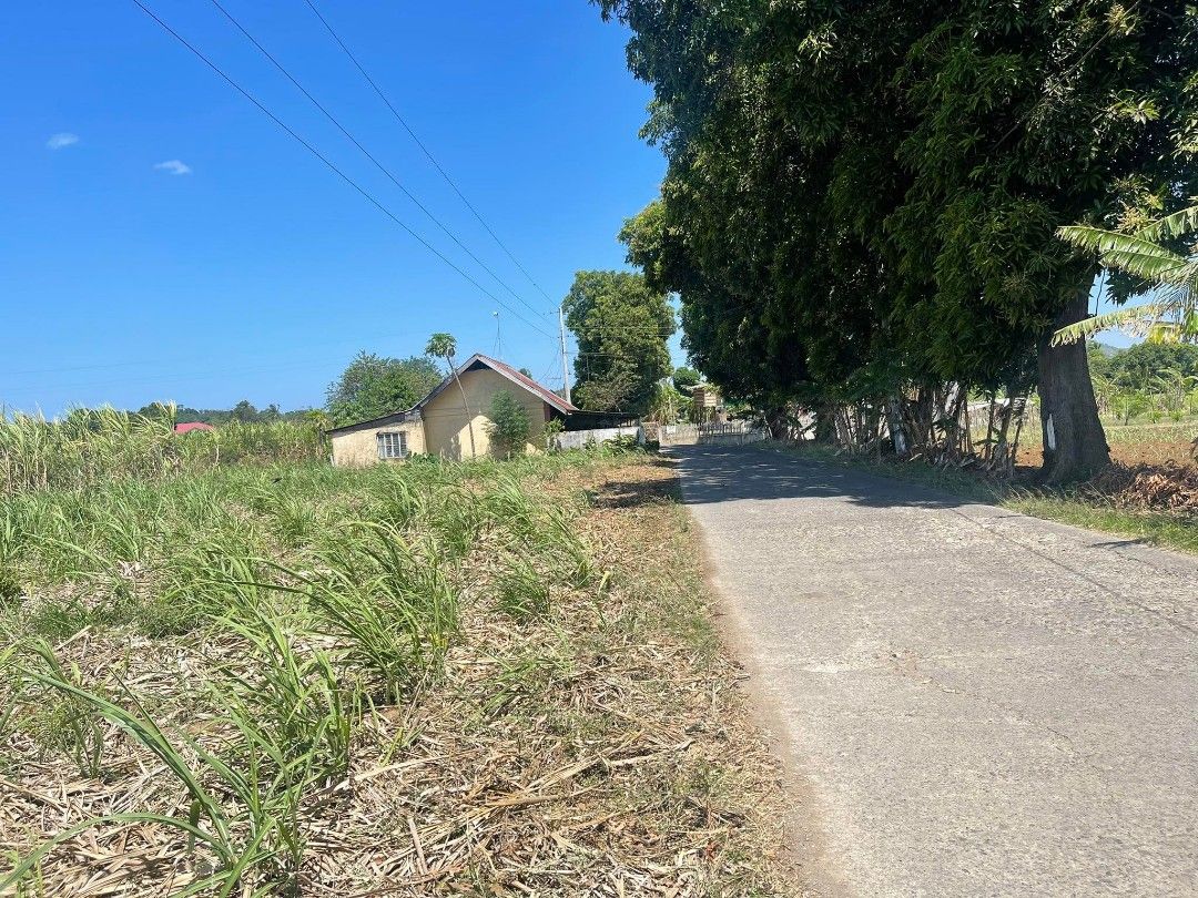 affordable farmlot in balayan batangas, Property, For Sale, Lot on ...