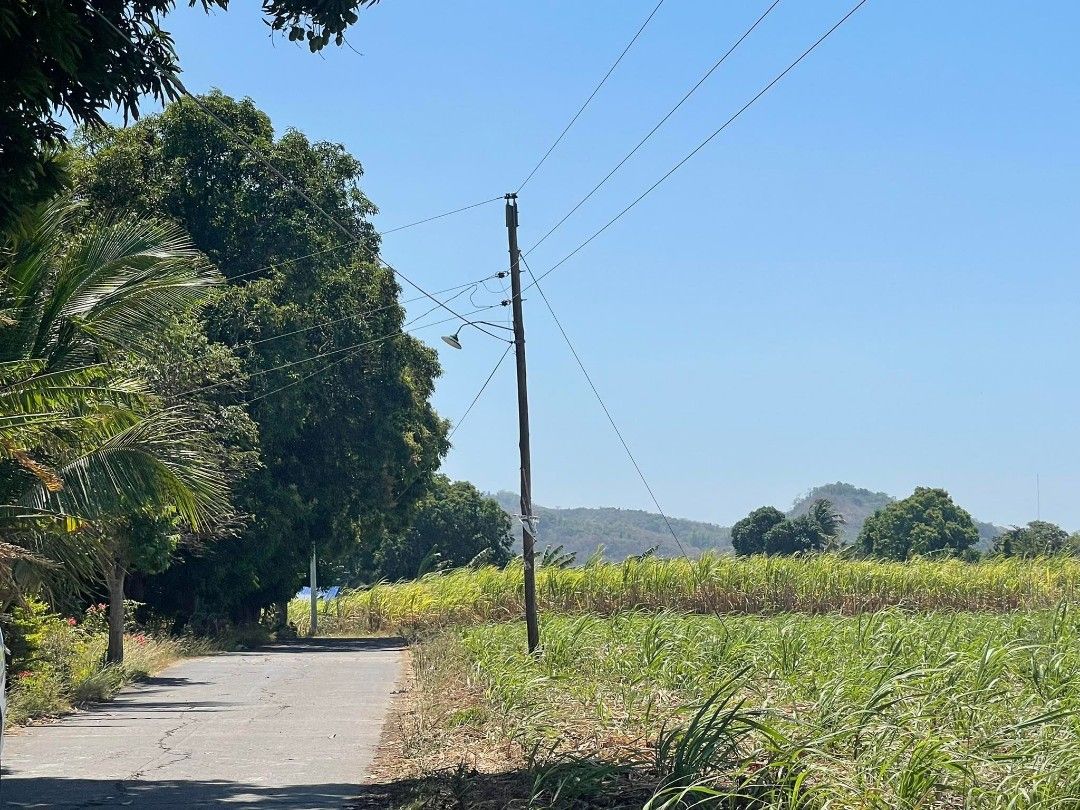 affordable farmlot in balayan batangas, Property, For Sale, Lot on ...