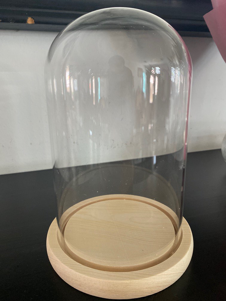 Clear glass display dome with LED wooden base Display Stand, Furniture ...