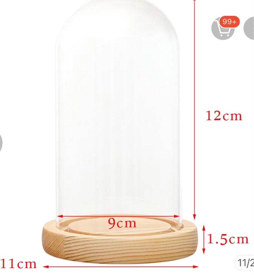Clear glass display dome with LED wooden base Display Stand, Furniture ...