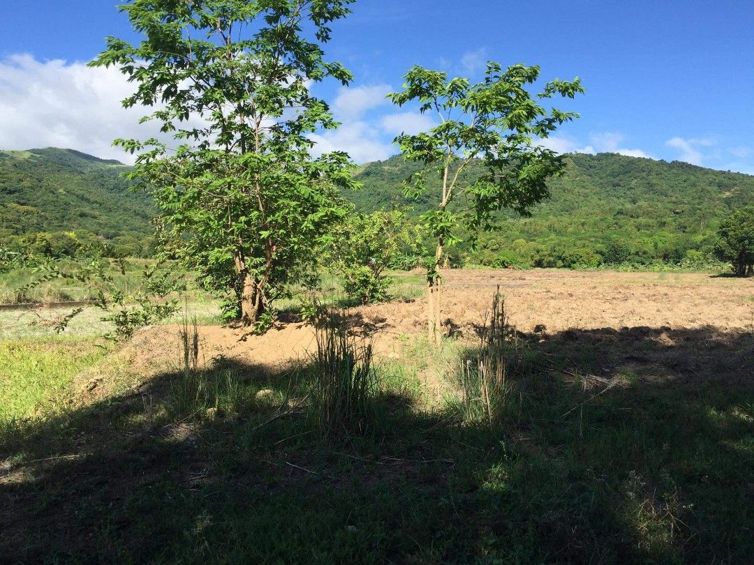 For Sale: 19,809 sqm @ Jala jala,Rizal on Carousell