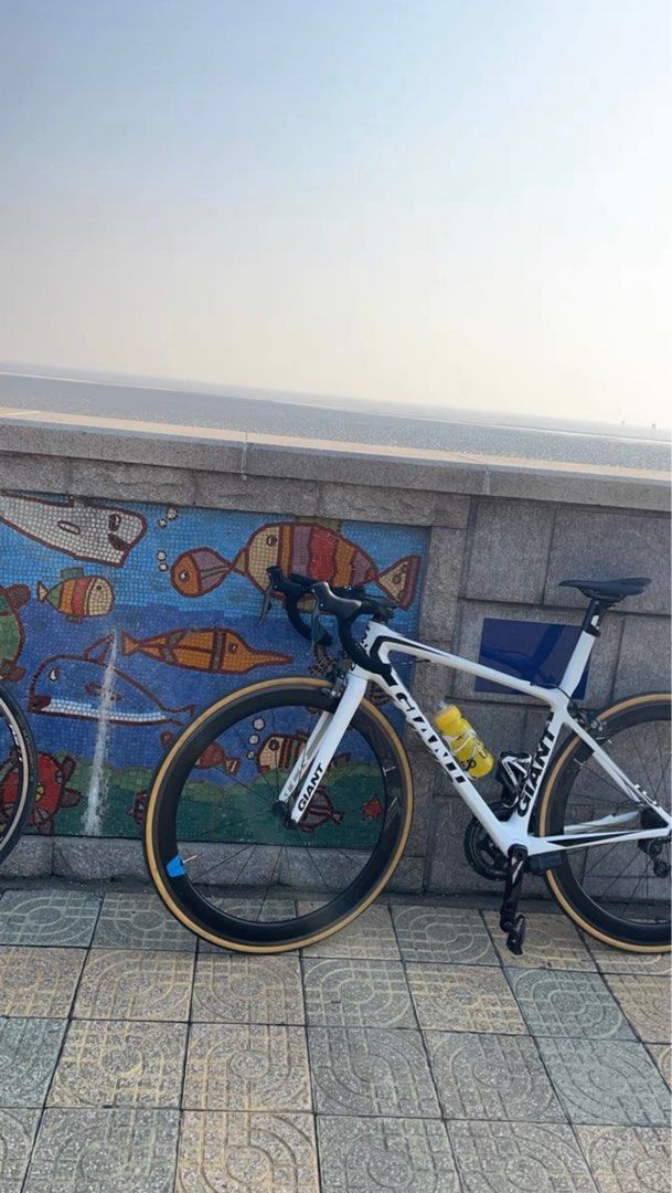 Giant tcr adv sl size s |full bike Shimano ut6870 di2 with carbon slr0 ...