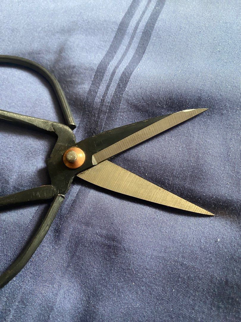 HAY Design Old-School Scissors, Hobbies & Toys, Stationery & Craft, Craft Supplies & Tools on ...