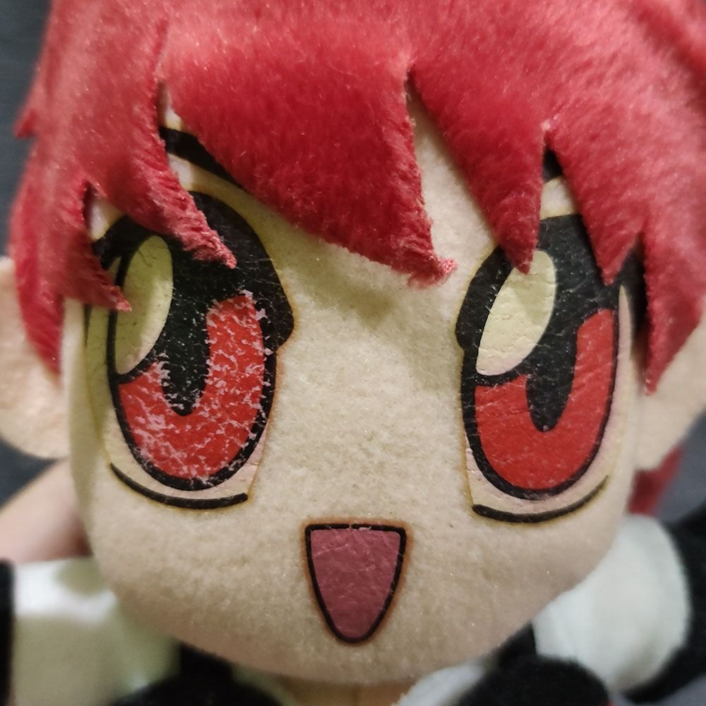 Rayearth: Hikaru Shidou in Kendo Outfit Plush, Hobbies & Toys, Toys ...