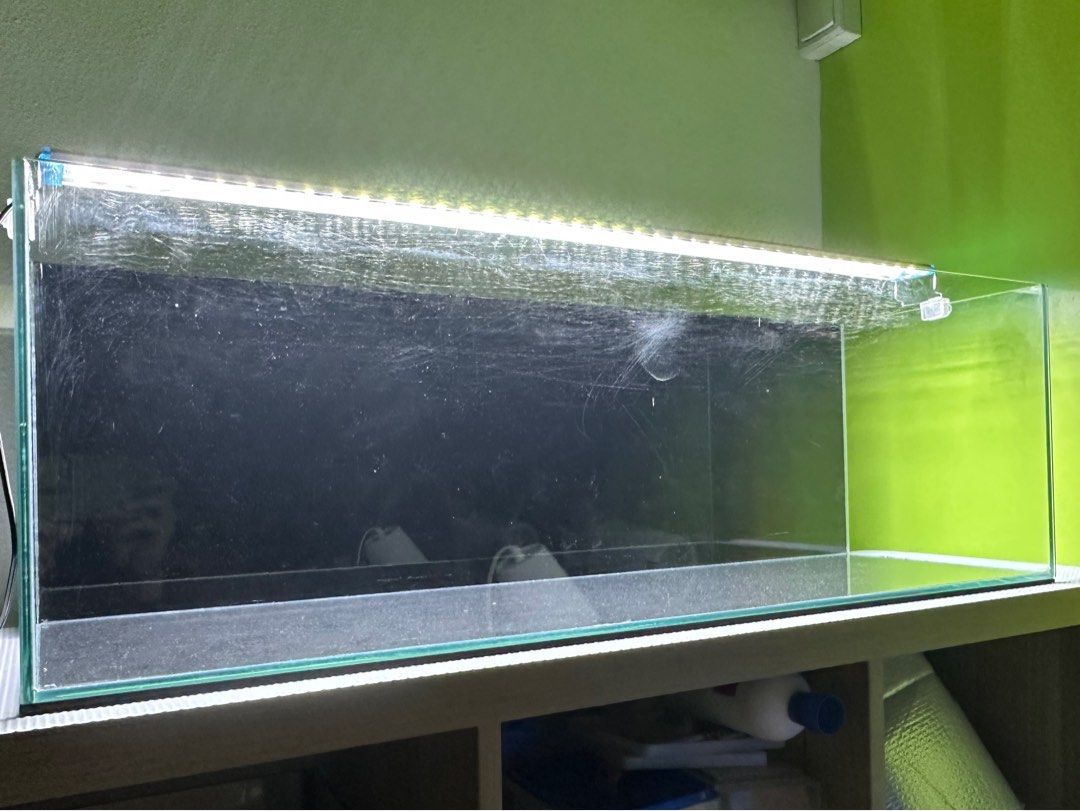 3ft x 1ft x 1ft tank, Pet Supplies, Homes & Other Pet Accessories on ...