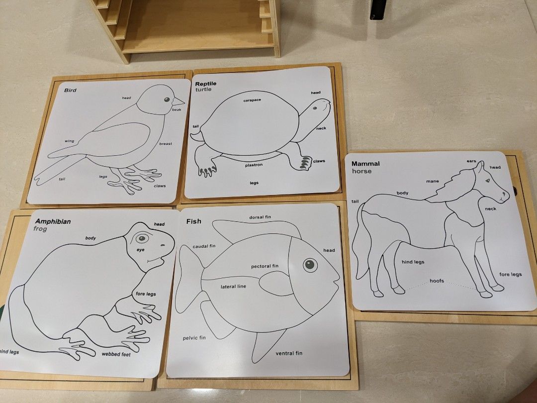 Almost new Montessori Animal Zoology Activity Set & Puzzle, Hobbies ...