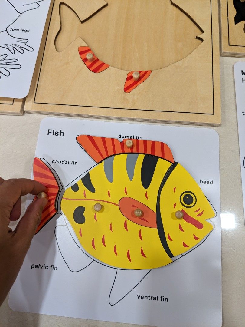 Almost new Montessori Animal Zoology Activity Set & Puzzle, Hobbies ...