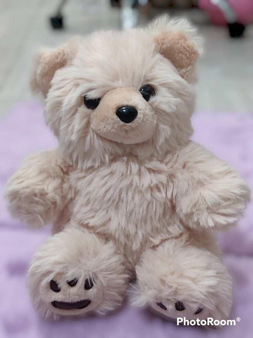 Bear Bundle on Carousell