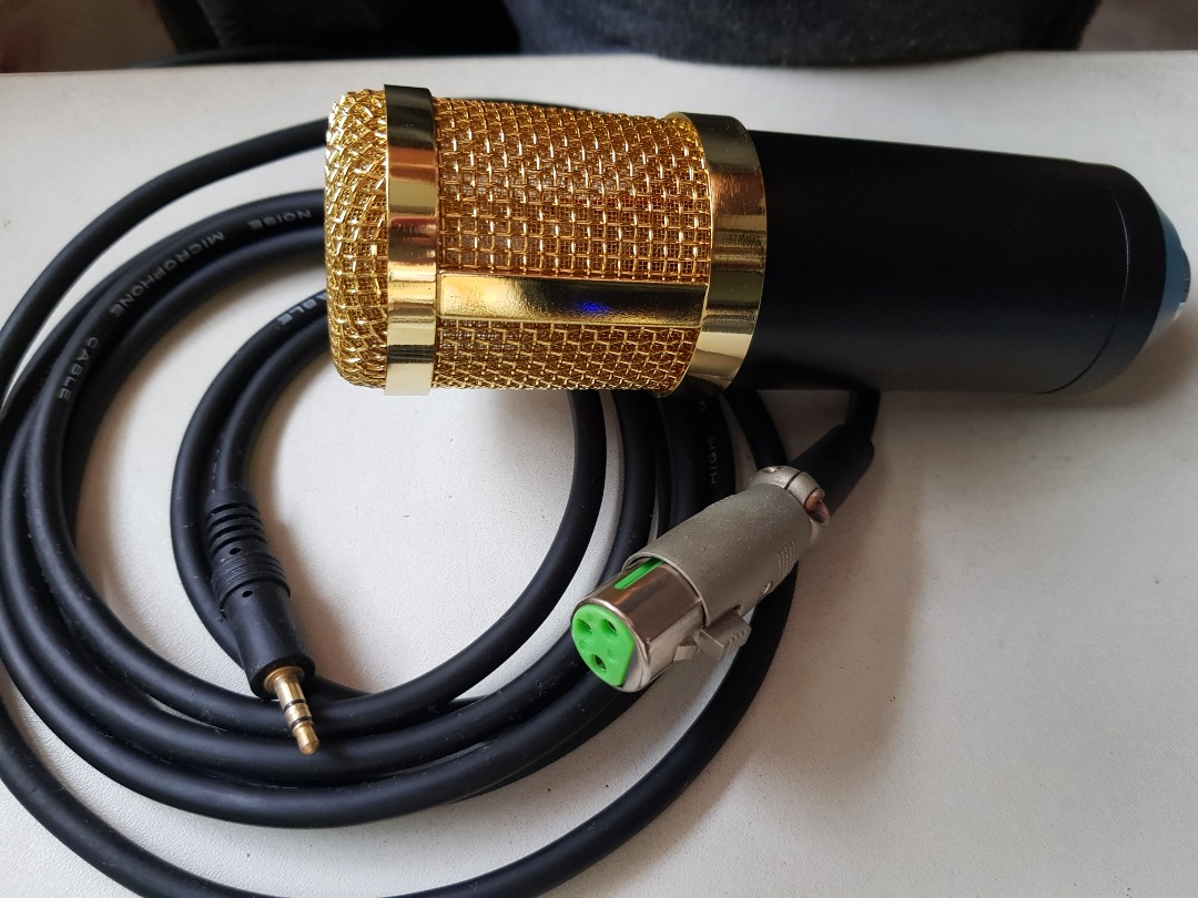 Condenser Mic with XLR-Mic-in cable (Gold), Audio, Microphones on Carousell