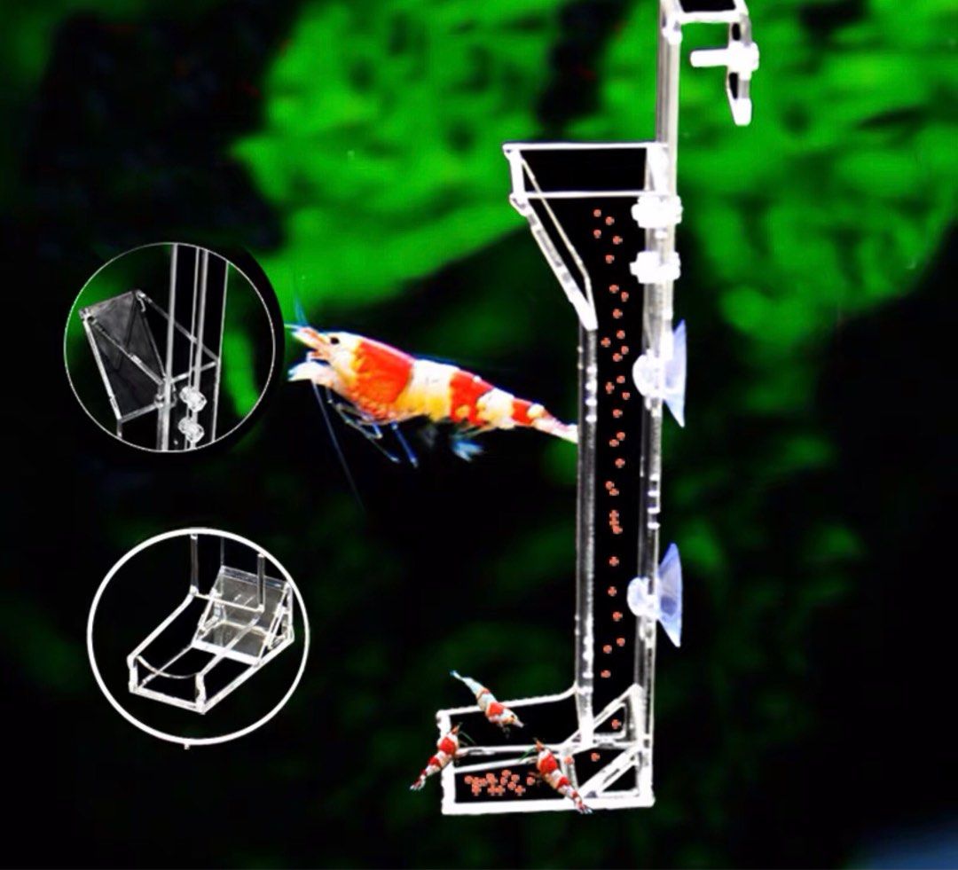 Fish and Crystal Shrimp Feeder, Pet Supplies, Homes & Other Pet ...