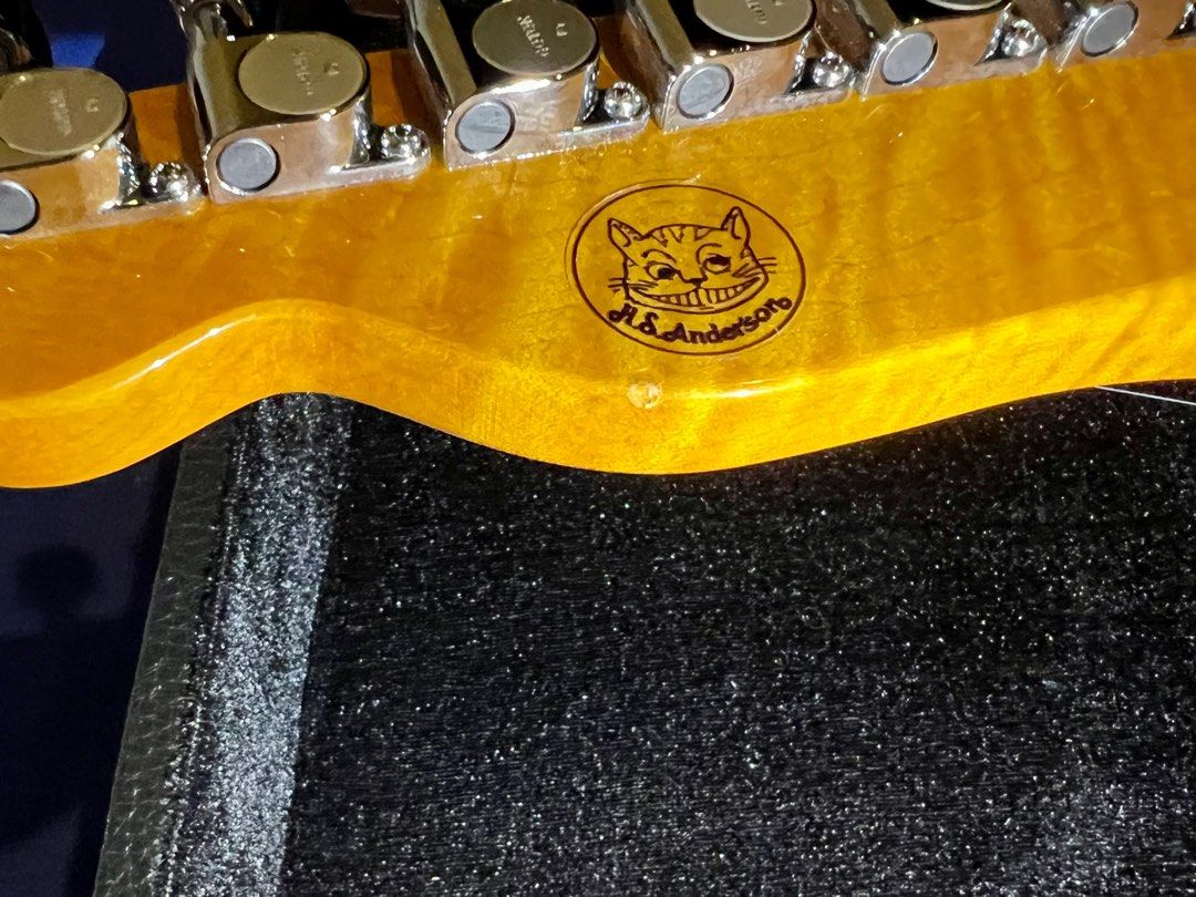 HS Anderson HS-1 Mad Cat Guitar (Moridaira), Hobbies & Toys, Music ...