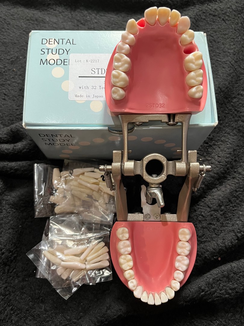Trimunt Articulator with free nissin compatible typodont on Carousell