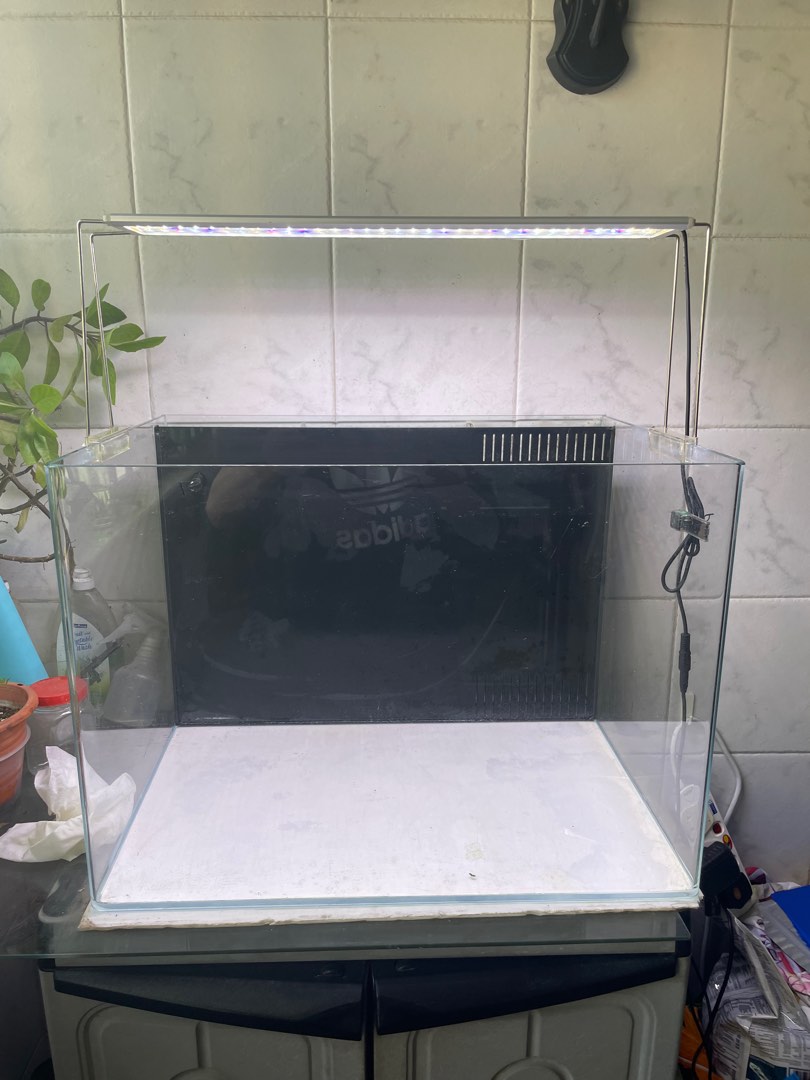 2ft IOS Tank, Pet Supplies, Homes & Other Pet Accessories on Carousell