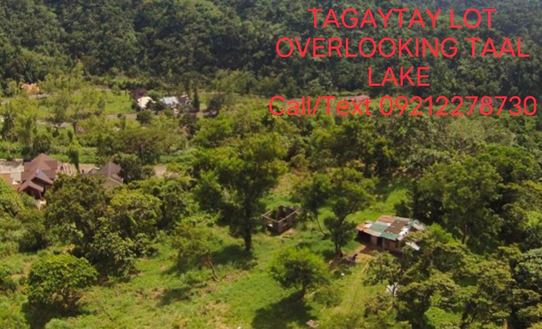 FOR SALE 3 HECTARES VACANT LOT IN TAGAYTAY CITY OVERLOOKING TAAL LAKE, Property, For Sale, Lot ...