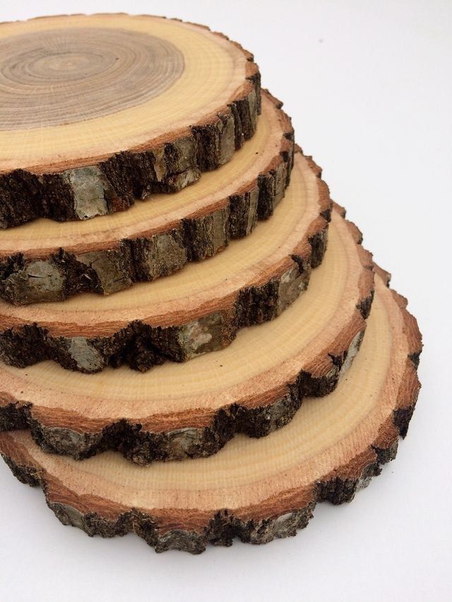 Acacia Wood Logs Slices on Carousell