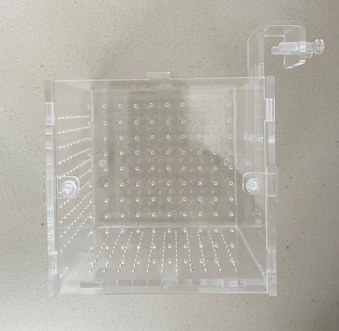 Acrylic Isolation Box, Pet Supplies, Homes & Other Pet Accessories on ...