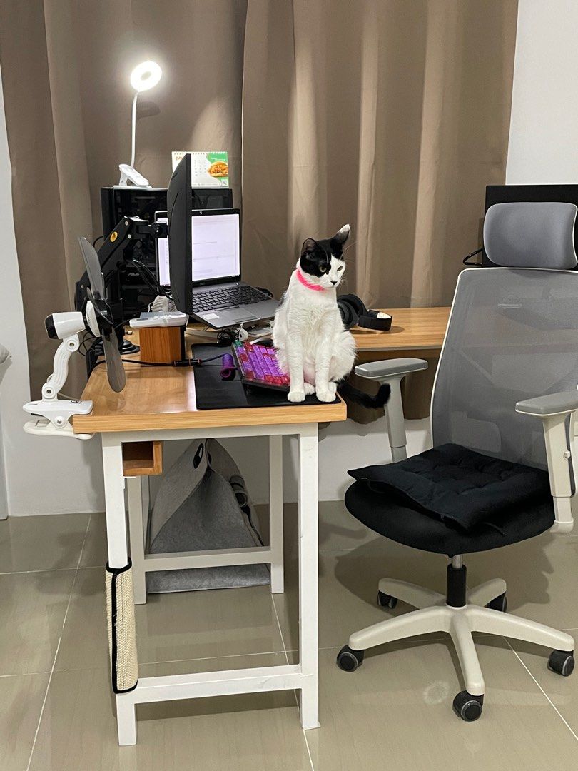 Custom L-shaped Computer Workstation Table with Cable Tray, Furniture ...